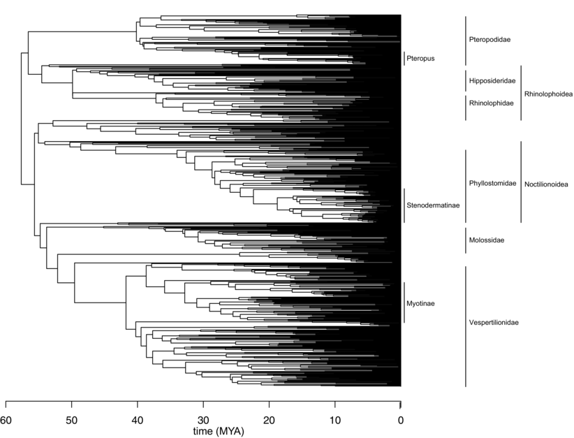 GW Human Evolutionary Genetics : Adaptive Radiation & Species Richness ...