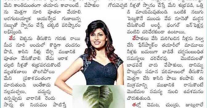 TELUGU WEB WORLD: NEEM TREE HEALTH AND BEAUTY BENEFITS - VEPA CHETTU ...