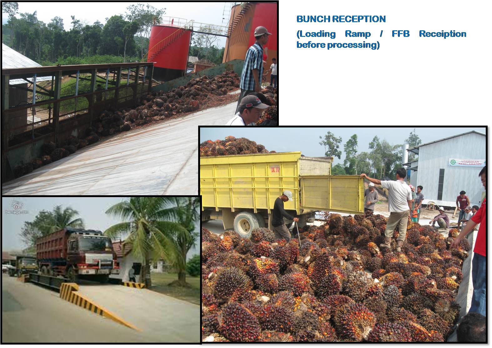 KONSULTAN DAN KONTRAKTOR PABRIK KELAPA SAWIT: Kontraktor & Konsultan ...