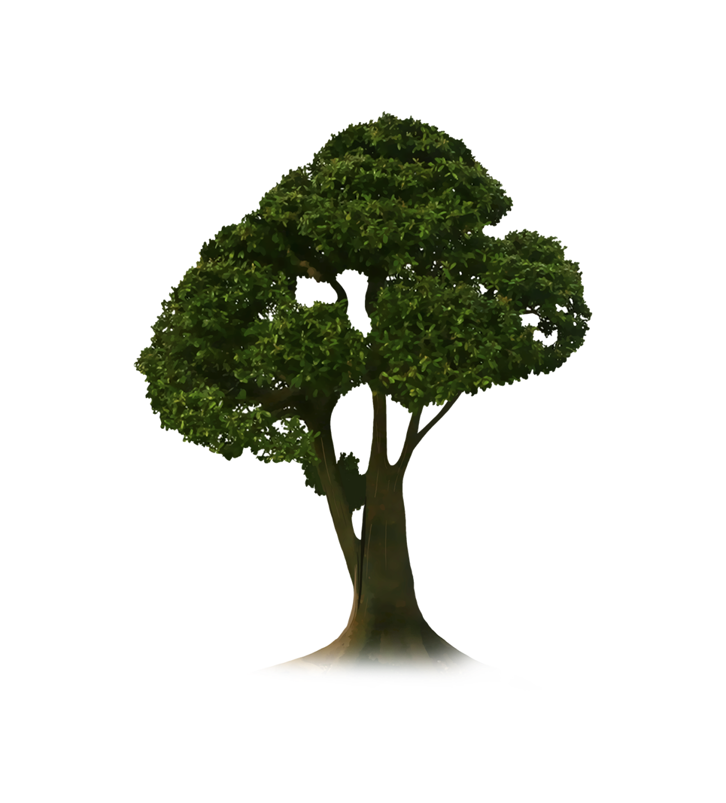 TRESS PNG - Exetramix