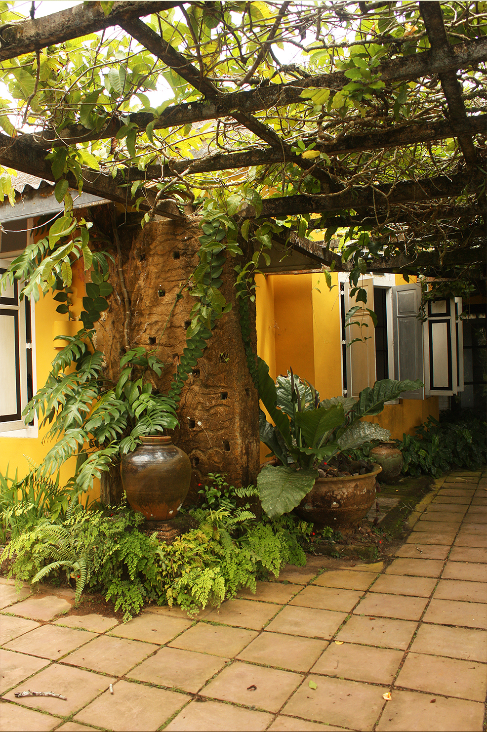 artnlight: Bevis Bawa's Brief Gardens