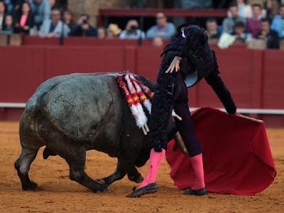 La razón incorpórea: Una tarde para la historia