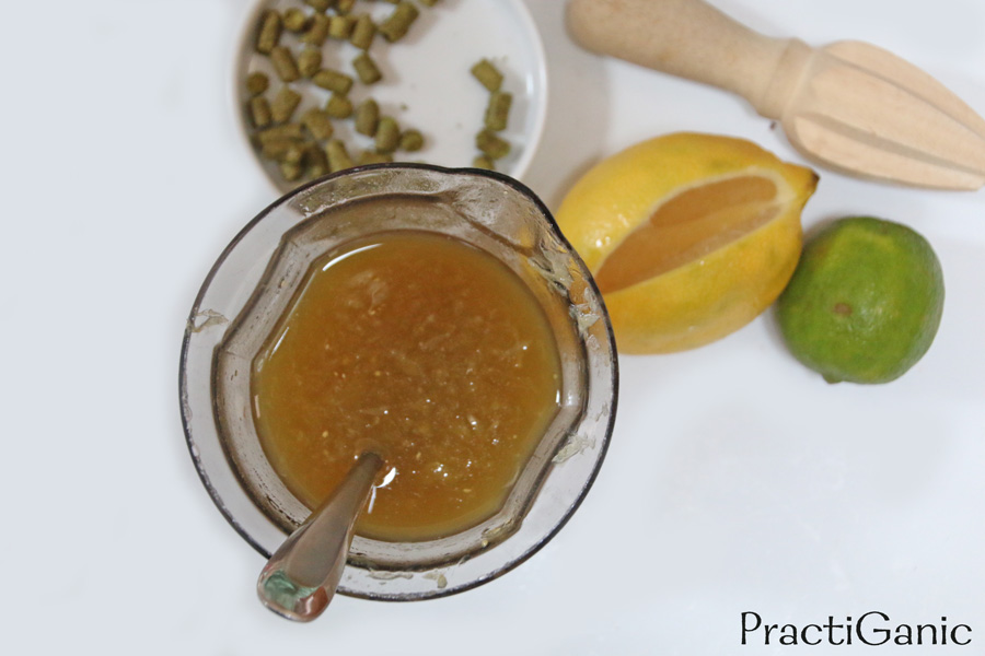 Hops Syrup for Hops Lemonade or Hops Cocktails! | PractiGanic ...