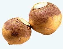 Erase un Blog Recetario: RAICES Y TUBERCULOS