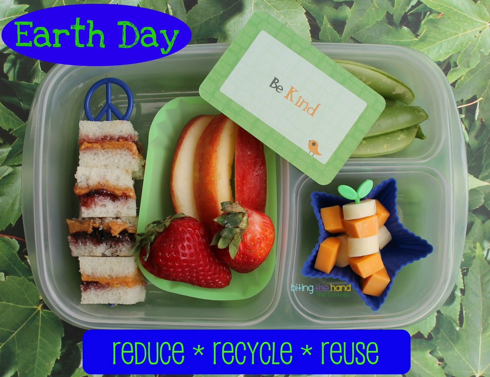 Biting The Hand That Feeds You: Earth Day Lunchbox Love