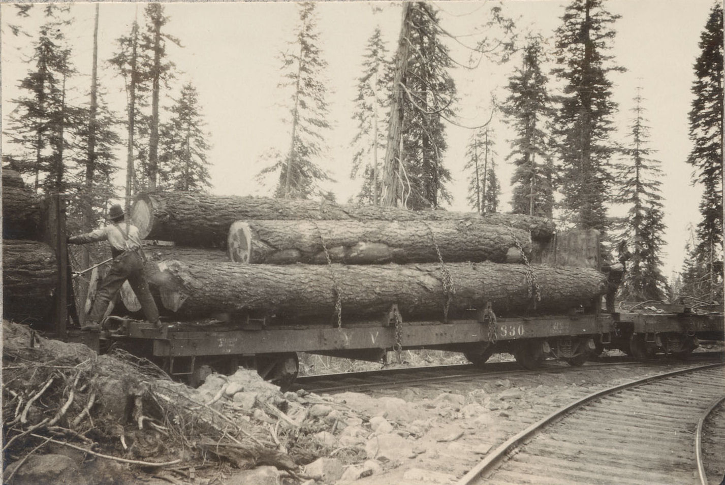 Logging