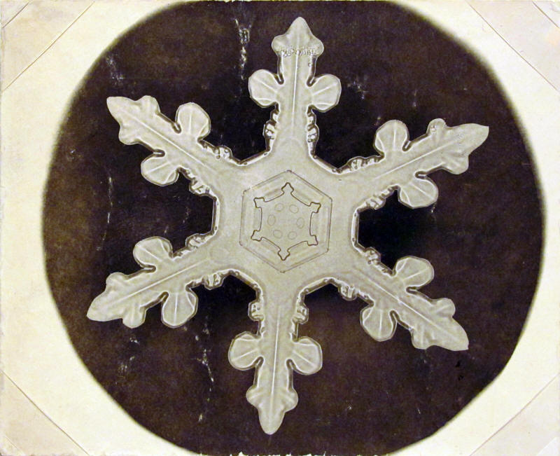 klobszki: Wilson „Snowflake” Bentley