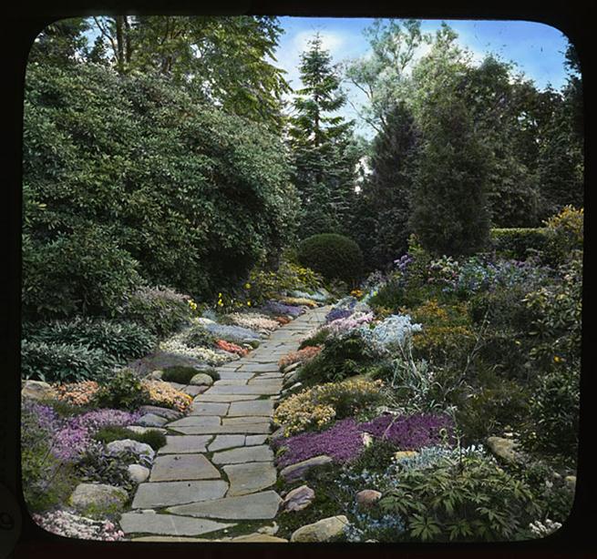 Photo Archives WEST Spring 13: Lantern Slides