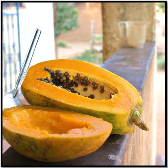 Bom Dia, Mozambique! : Food