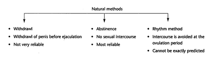 #120 Method of birth control | Biology Notes for IGCSE 2014 & 2024