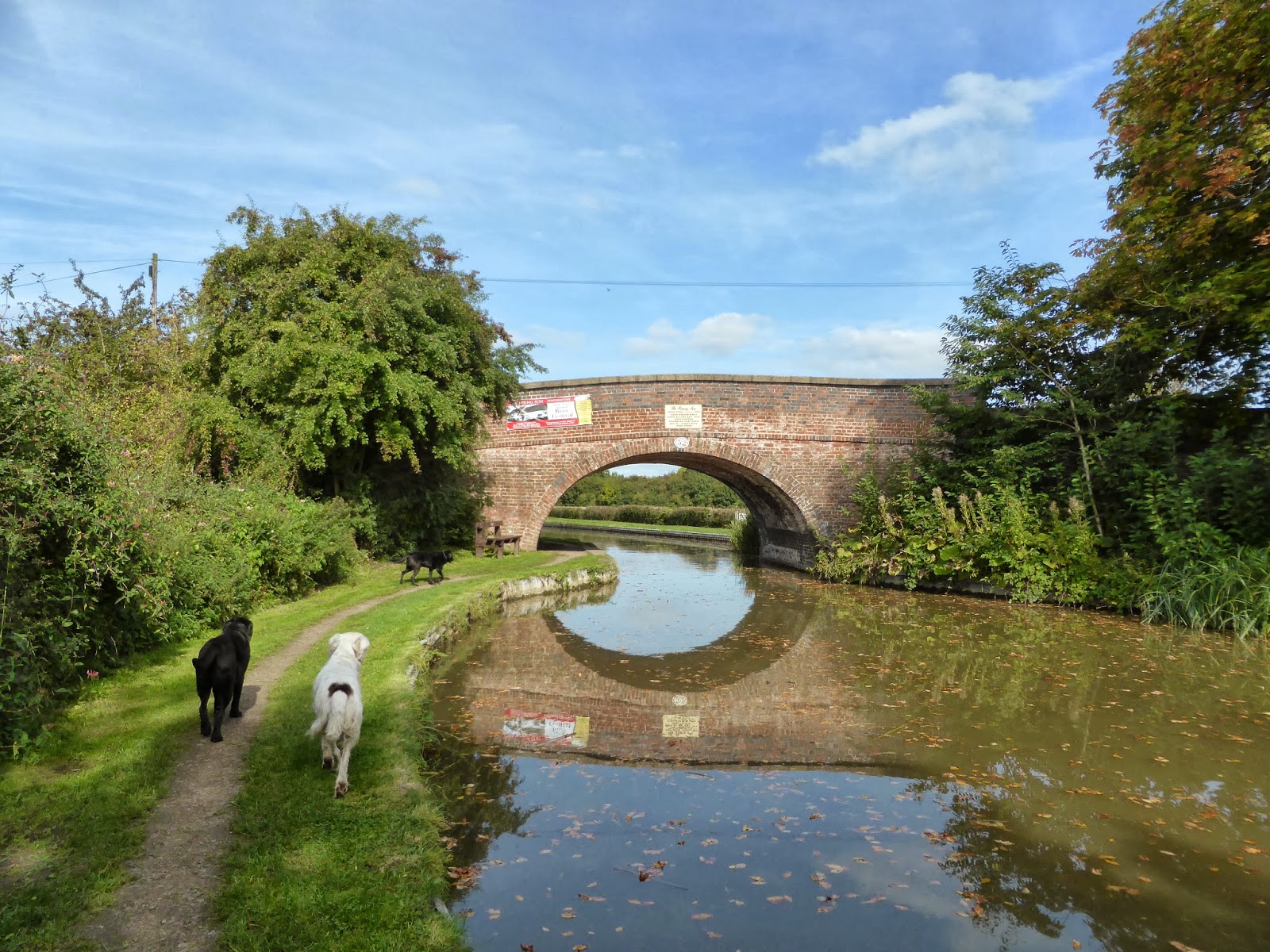 Nb.Yarwood: Shackerstone