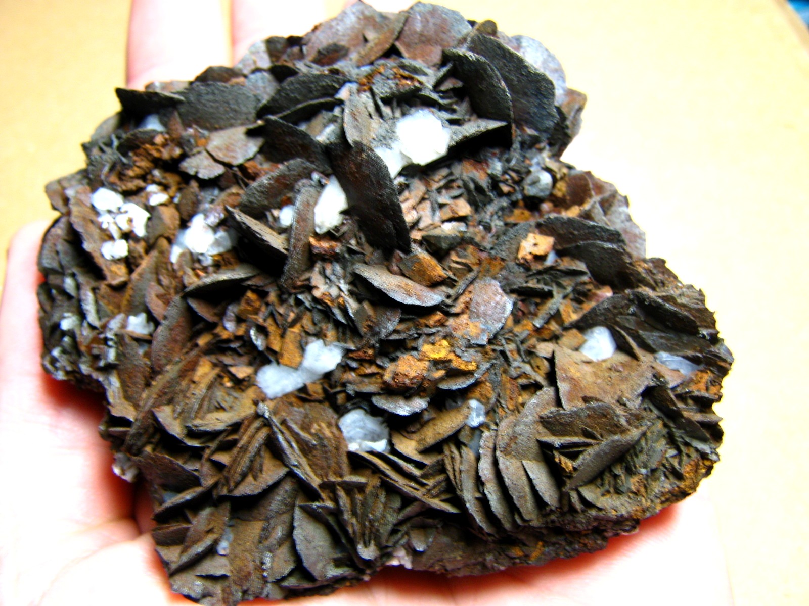 Colección de Minerales de Mmarte: Siderita con cuarzo de Ezcaray (La ...