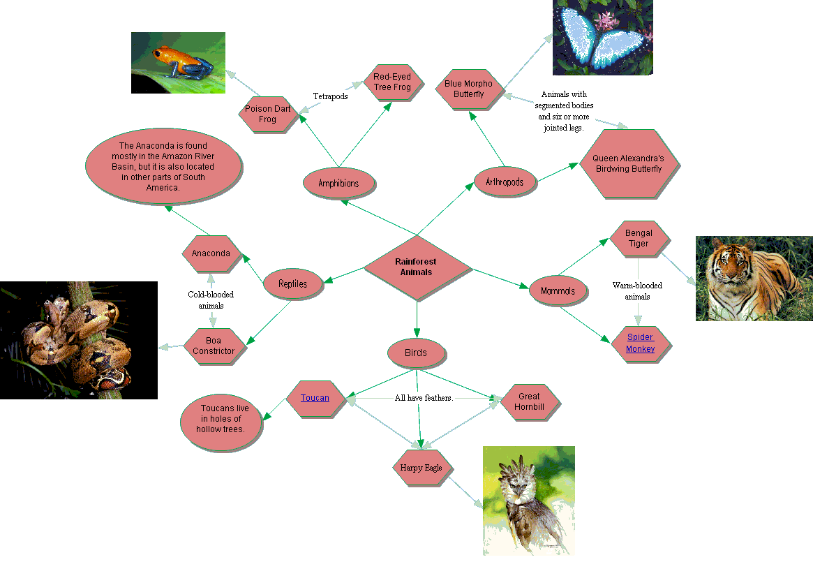 IT 365- Course Reflections: Concept Mapping