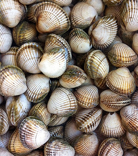 Cockles Party - www.NoelBoyd.com