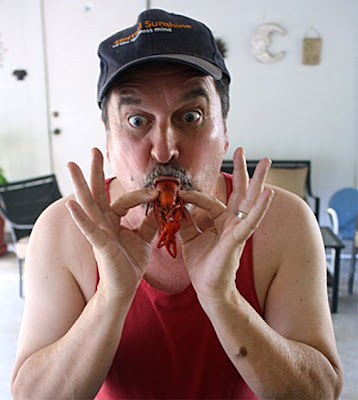 The 99 Cent Chef: July 2011