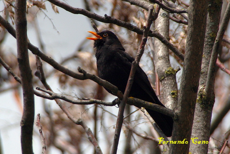 Mogón: SENDEROS DE MOGÓN