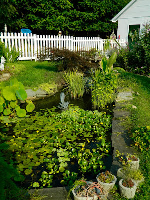 Pam's English Cottage Garden: Container Gardening