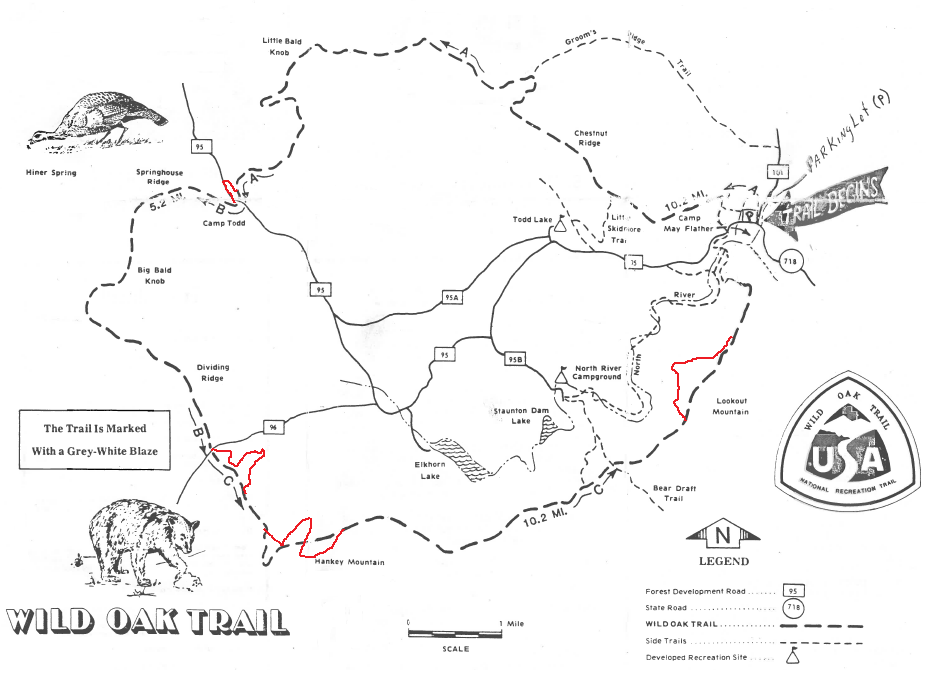 Wandering Virginia: Wild Oak Trail, Revisited 2016