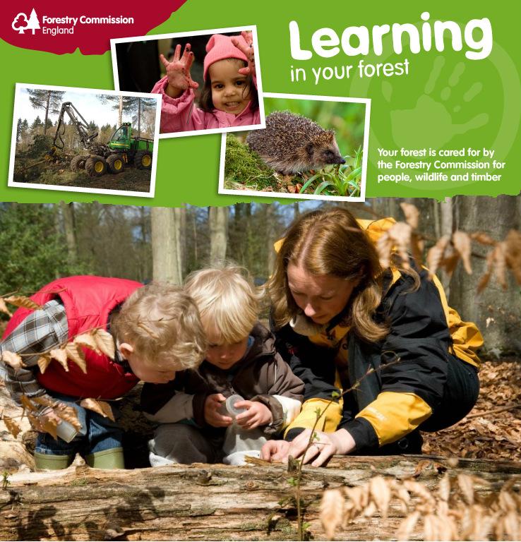 Forestry Commission launches new Learning strategy on World Forestry ...