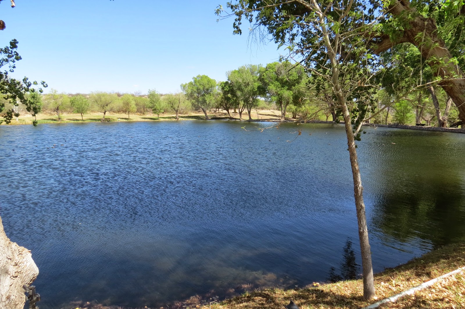 Where's Liz? 2014: Slaughter Ranch, San Bernadino and Leslie Canyon ...