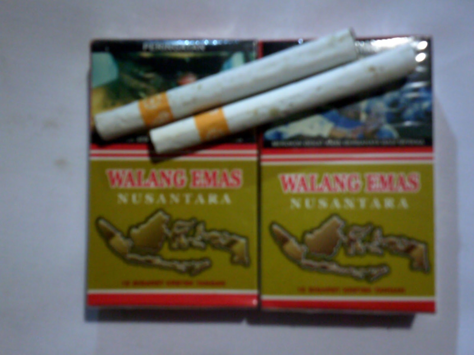 '' JUAL ROKOK WALANG EMAS NUSANTARA " - JUAL BELI ONLINE JEMBER