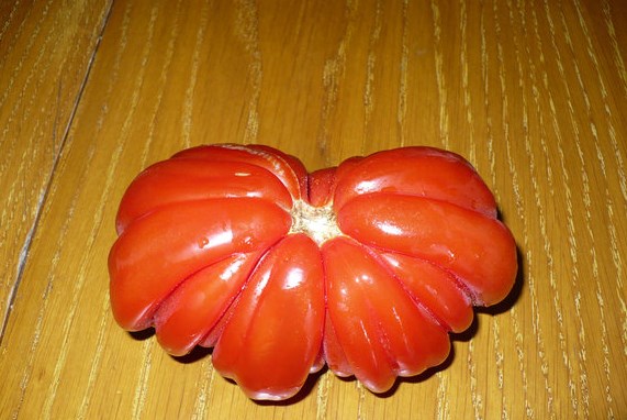 Deformutilation: Mutant Fruits