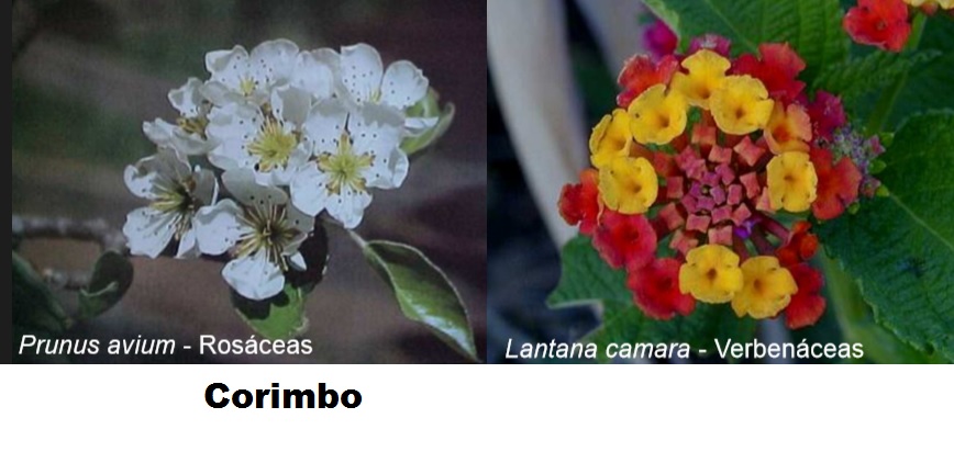 Asignatura de Biologia : 2015