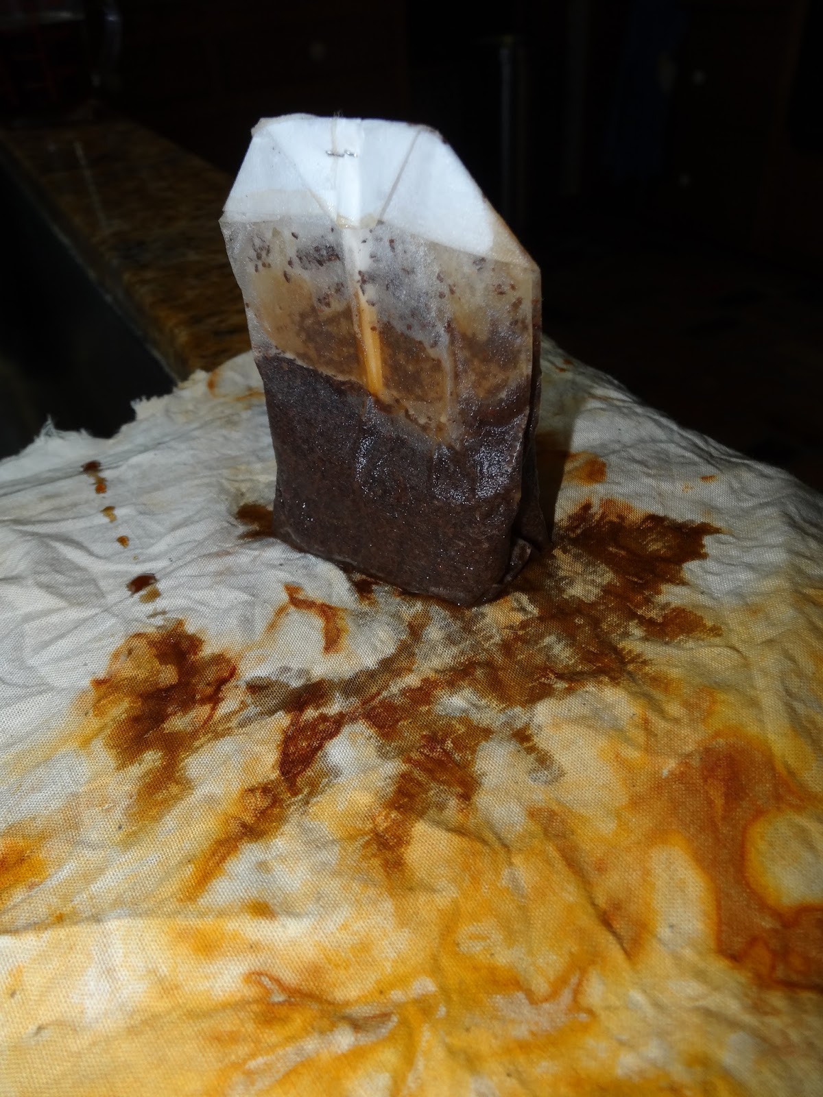 Quilts and Dogs: Rusting During Our Afternoon Tea