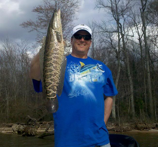 Fat Boy's Outdoors: Monster Toothy Fish of the Potomac