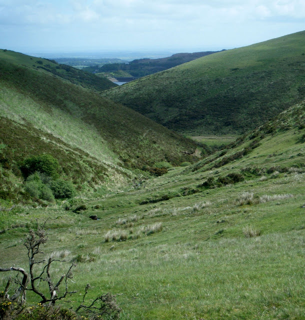My Dartmoor Walks: Tuesday 24th May Meldon Reservoir