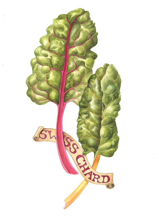 Illustrators International: Illustrative Botanical Art,Food Art ...