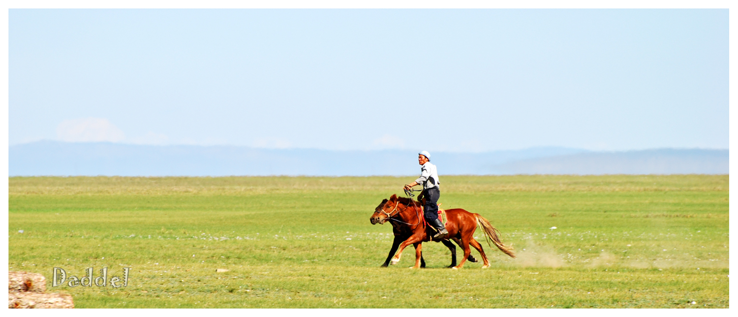 Daddel's Footprints: Urguu Tourist Camp