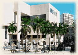 College Graduate!: Miami-Dade Community College