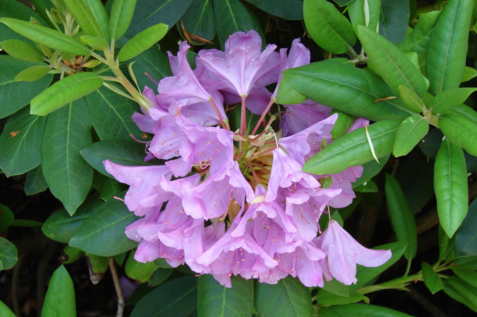 Wonderful World of Wildlife