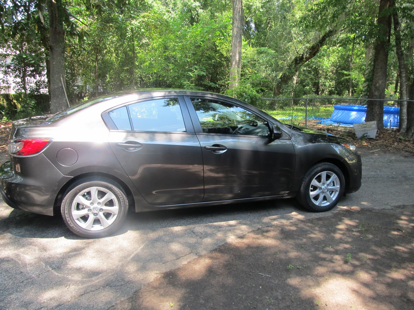 Life of the Frunzi's