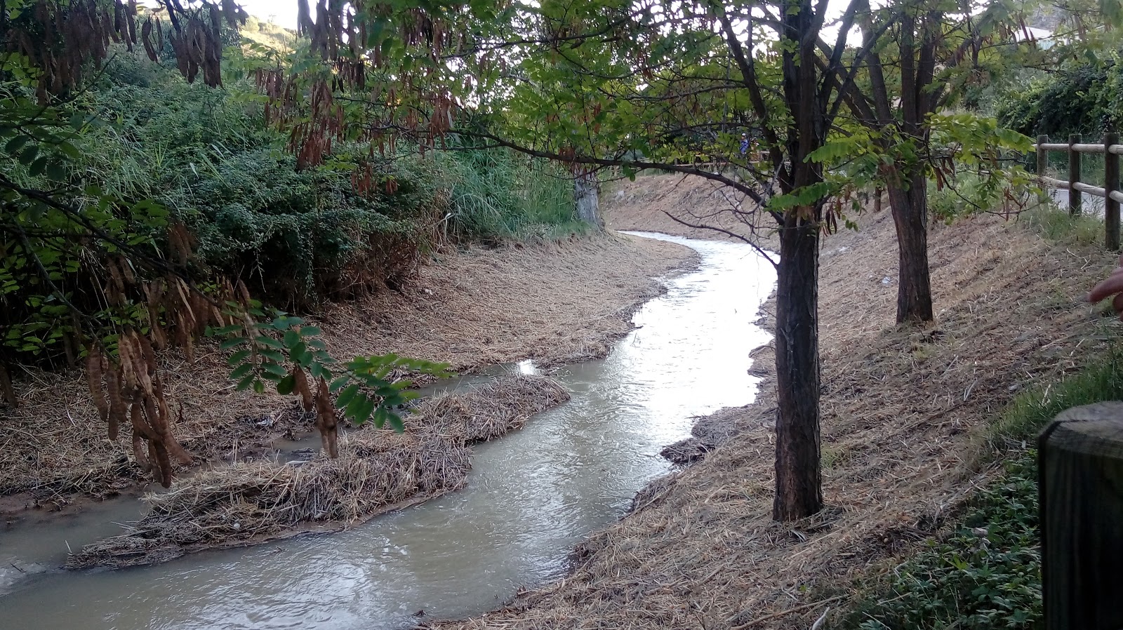 Alcorisa Hoy: Alcorisa: Un nuevo aspecto del cauce del rio