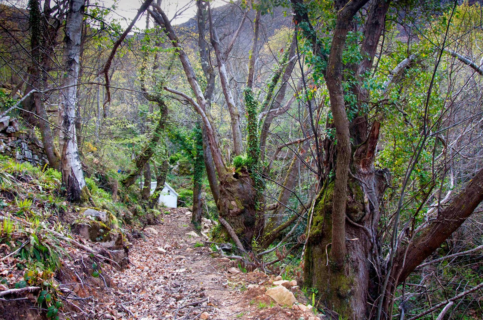 TROTONES: Puente Llamoso - Peña Porcabezas (VG) - Dolia - Covasil ...