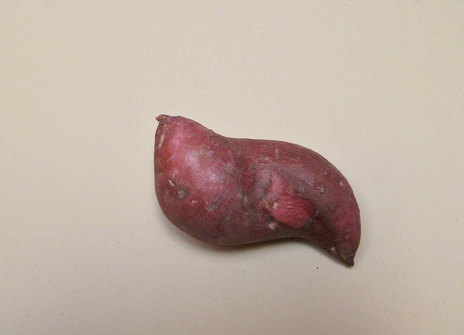 In the Company of Plants and Rocks: Will the real Yam please stand up ...