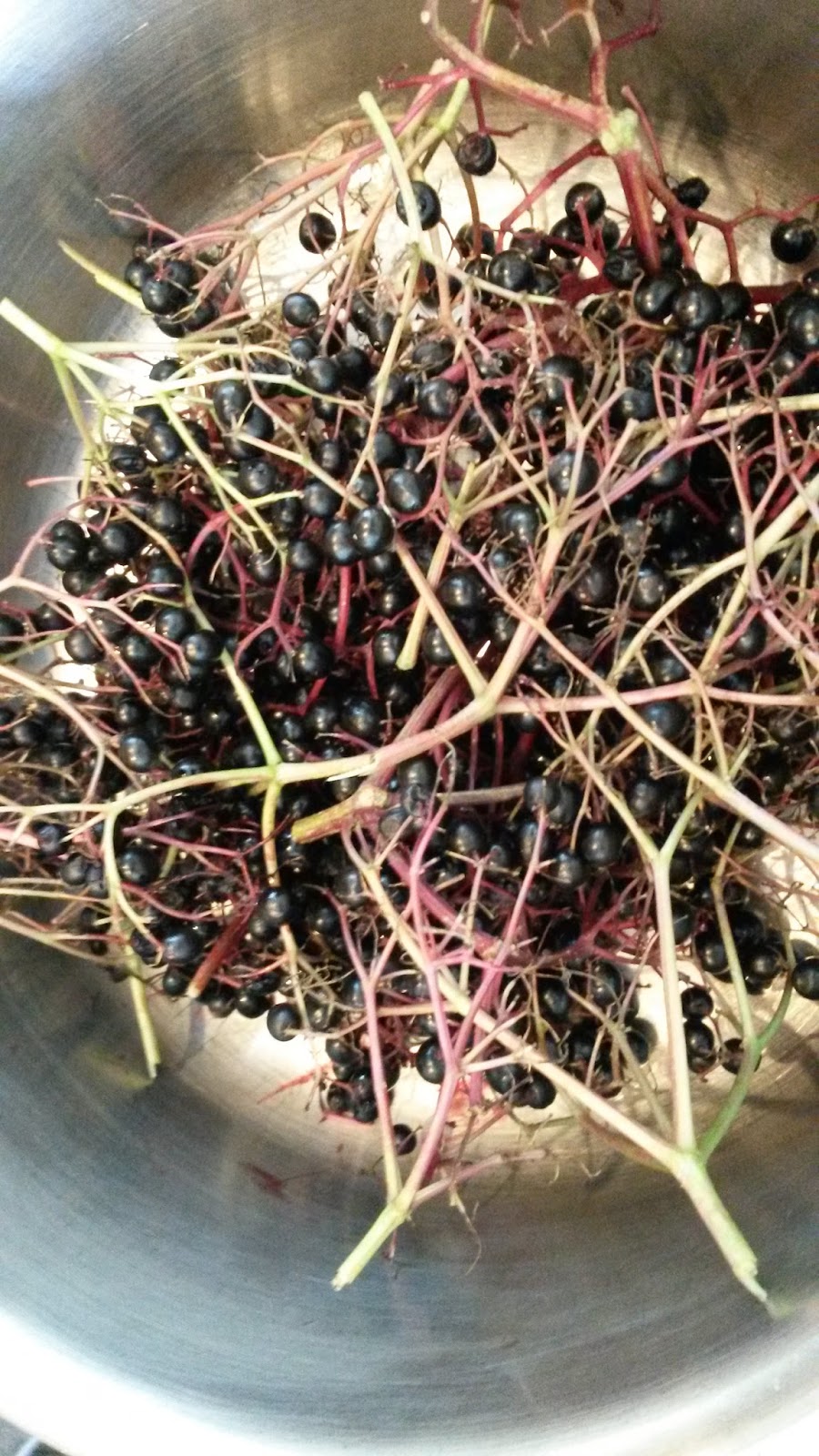 Room for a Radish: Elderberry sorbet