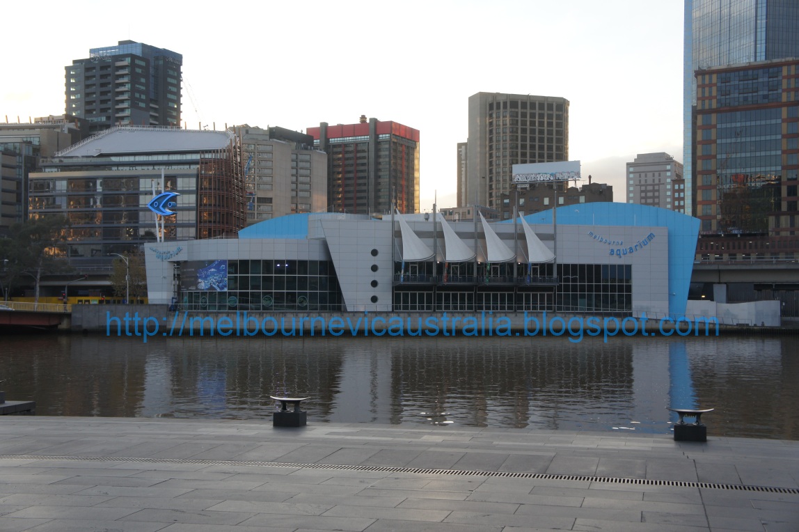 Melbourne Victoria Australia Melbourne Aquarium An Experience Not To melbourne-victoria-australia-melbourne-aquarium-an-experience-not-to