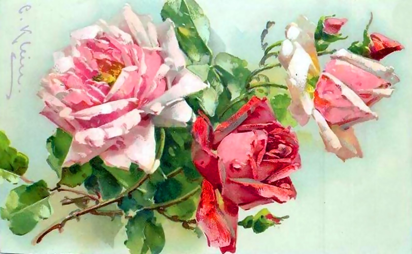 Vintage Art Roses Group Prints Postcard | Joy Design Studio