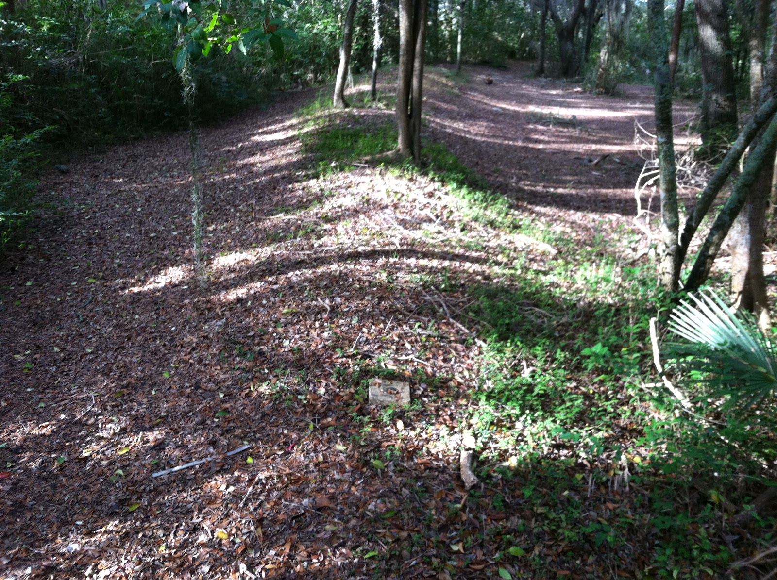 SCTravelersX3: It's About That Mark!!!