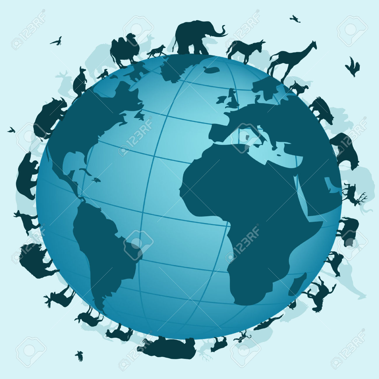 Mundo de Animales : TIPOS DE ANIMALES.