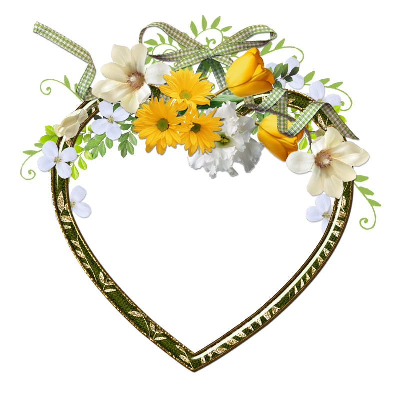 ForgetMeNot: Cluster spring frames