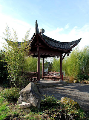 The Intercontinental Gardener: Seattle Chinese Garden - a work in progress