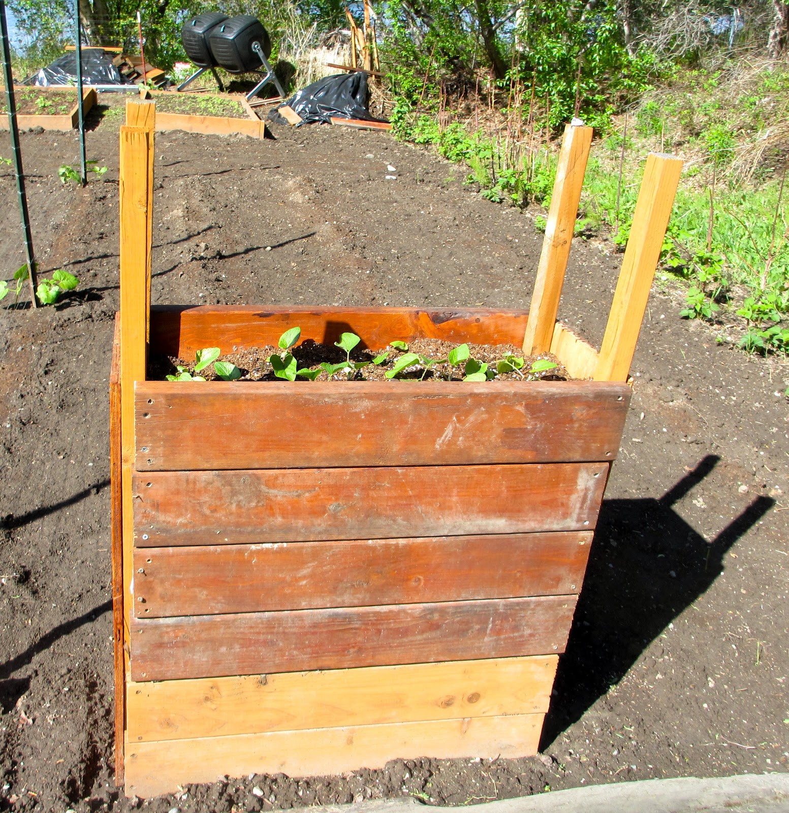 Progressive Alaska: Summer Is Starting to Look Like Summer