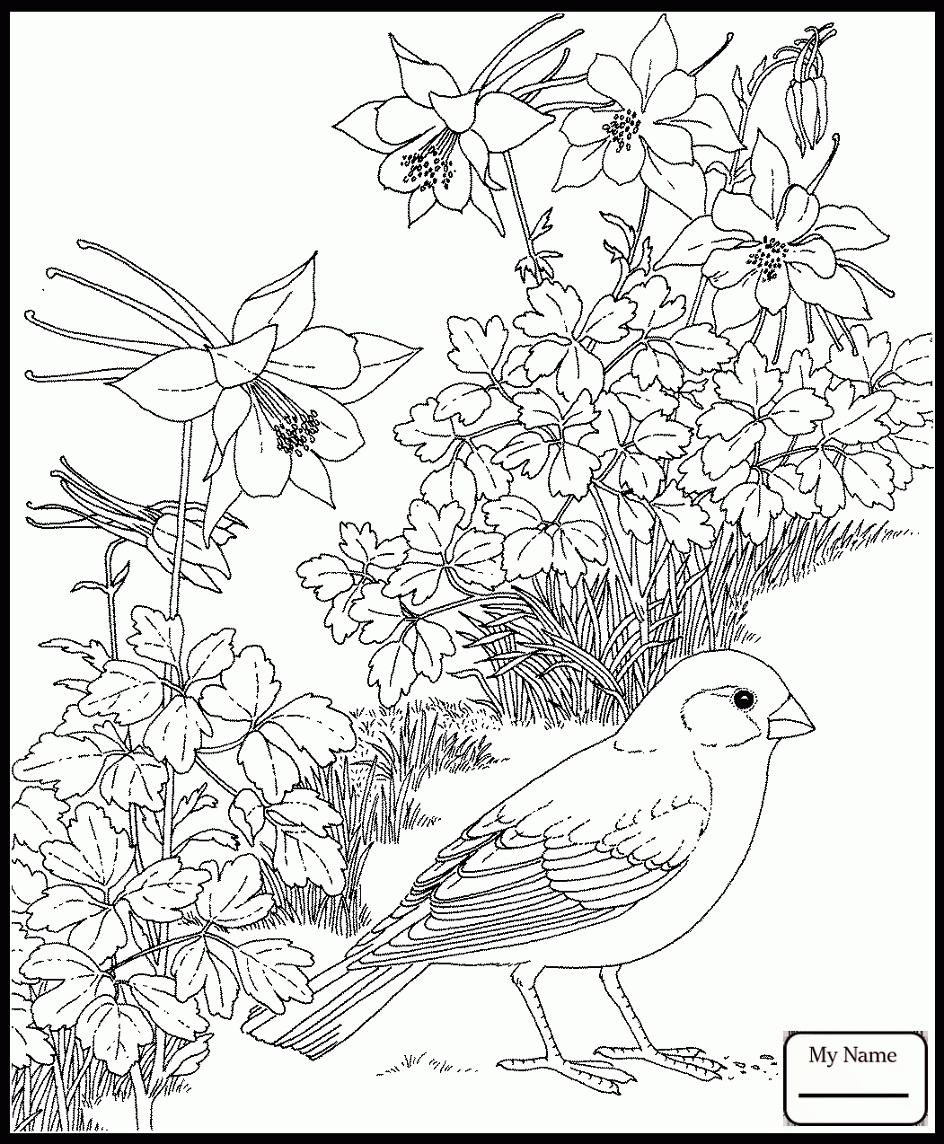 bunting bird coloring pages - jiahajava