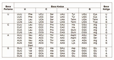 Kode - Kode Genetik dan Penelitian Para Ahli Dalam Substansi Genetik ...
