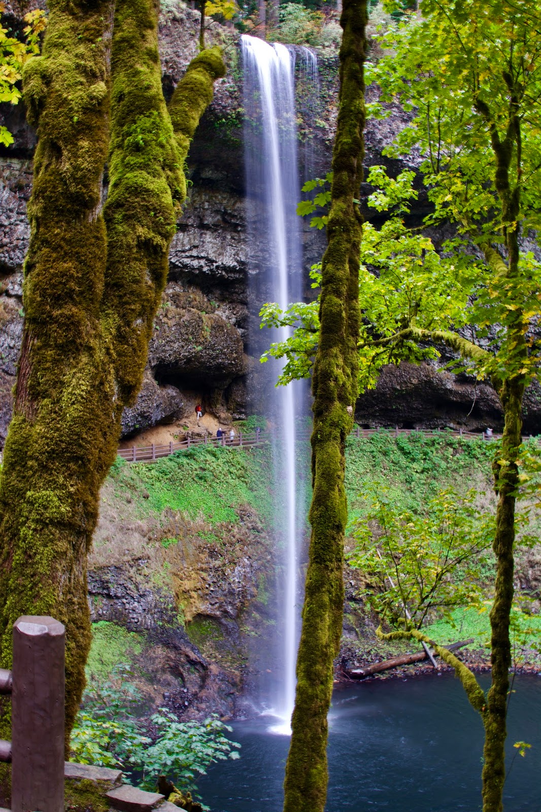 Trapped in History: Silver Falls, Oregon (waterfalls)
