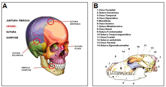 Comparando e Aprendendo!: 2014-11-02
